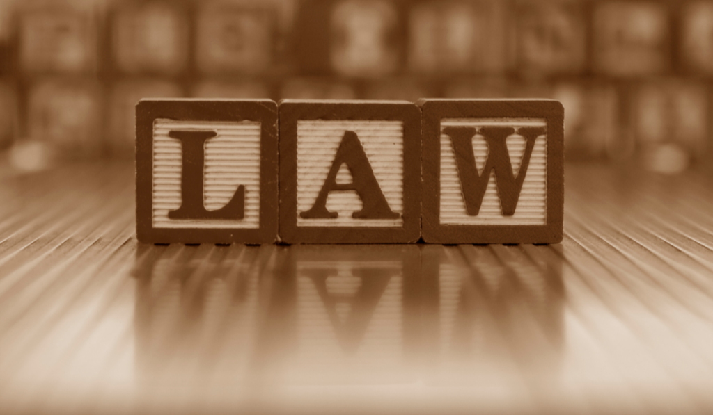 Transition Law - Michigan Alliance for Families