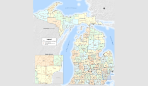 ISD / RESA - Michigan Alliance for Families