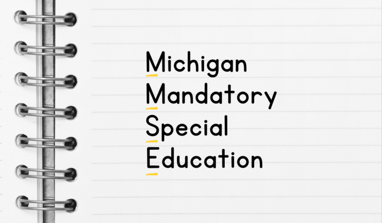 MMSE - Michigan Alliance for Families
